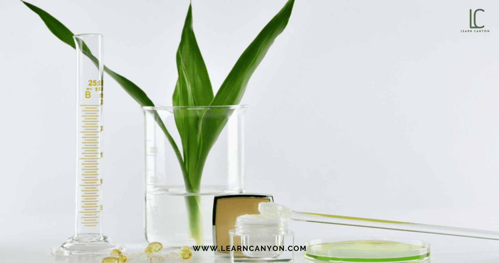 5 Things You Should Know About A Cosmetic Formulator | Learn Canyon