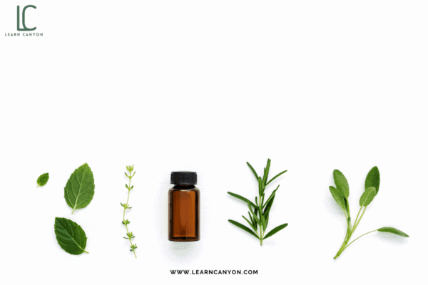 8 Best Natural Ingredients For Acne That You Should Try