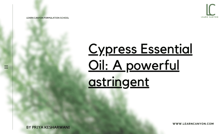 Cypress French Cupressus Sempervirens Twig Essential Oil