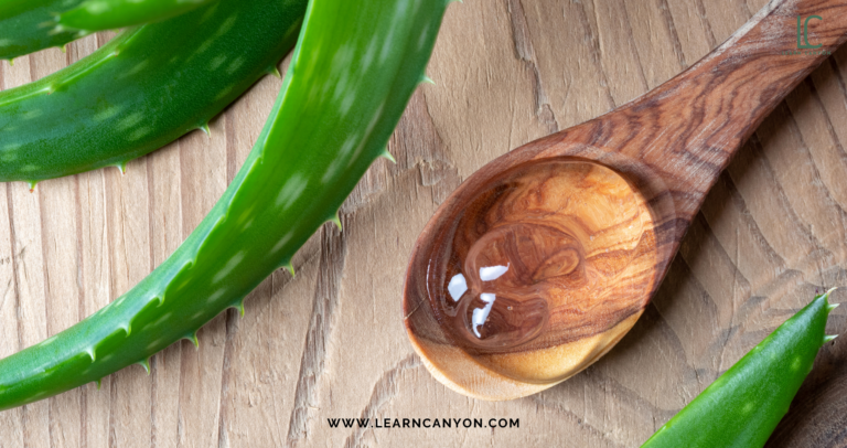 How To Make A Simple Homemade Face Gel For Skin Care