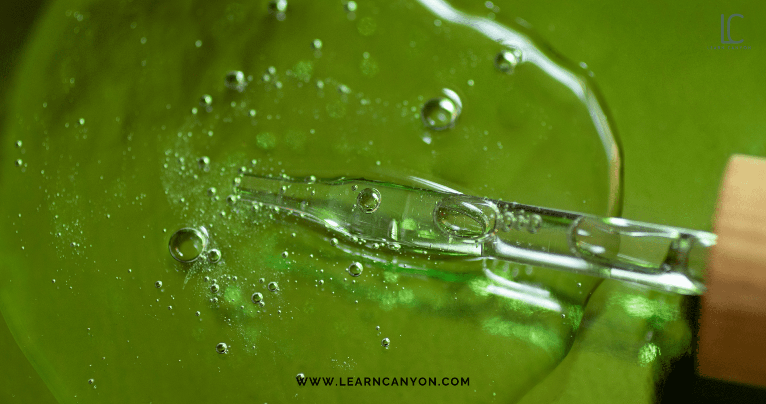 How To Make A Simple Yet Effective Eye Gel? | Learn Canyon