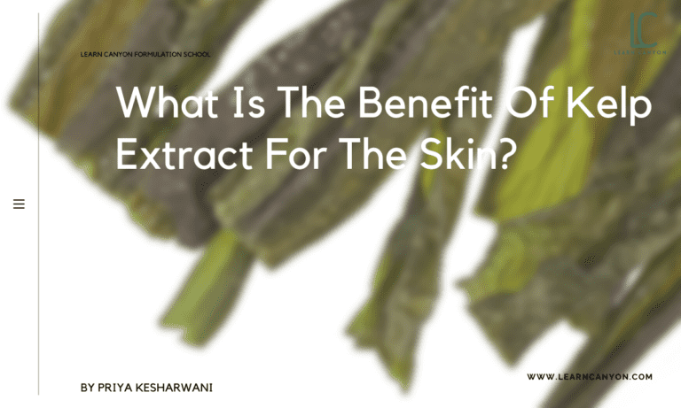 What Is The Benefit Of Kelp Extract For The Skin