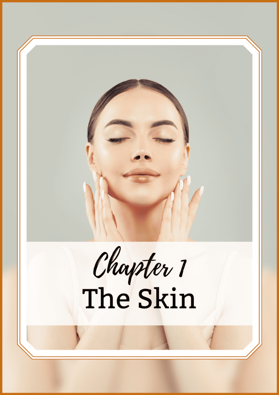 Sunscreen Formulation Mastery | Learn Canyon