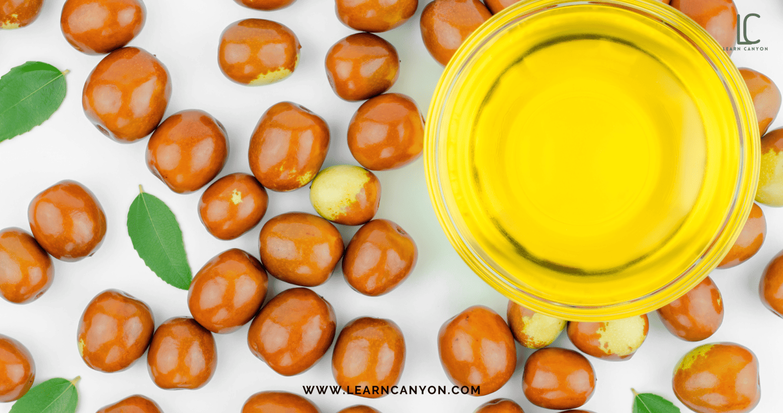 How To Choose Ideal Carrier Oils For Organic Skincare Products