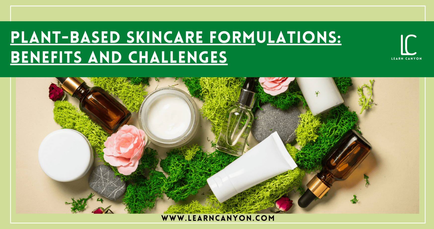 Plant-Based Skincare Formulation Ingredients: Benefits And Challenges - I