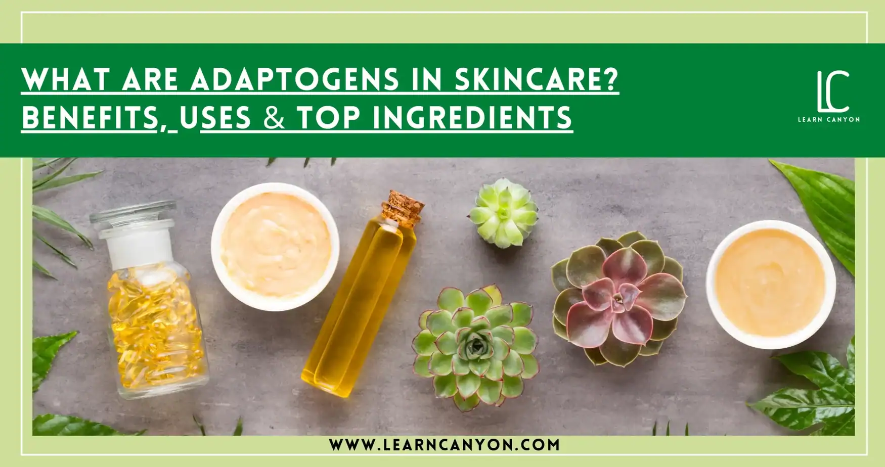 What Are Adaptogens In Skincare? | Learn Canyon